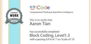 iCode – International Coding Competitions & Certifications